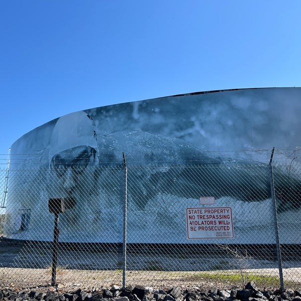 Hull Street Pier - Locust Point - 3 tips