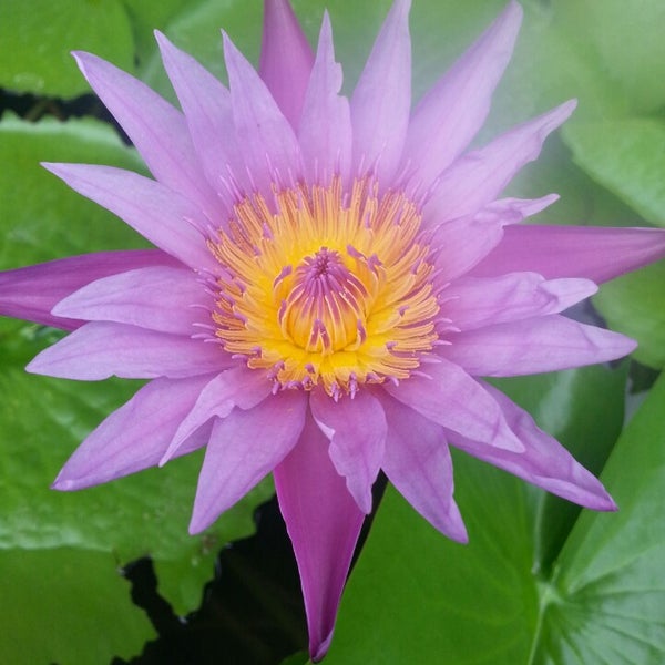 PTT Maintenance and Engineering (PTTME) - Office