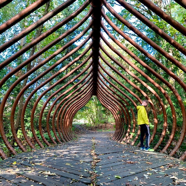 Dragonfly Park - Delridge - 1 tip