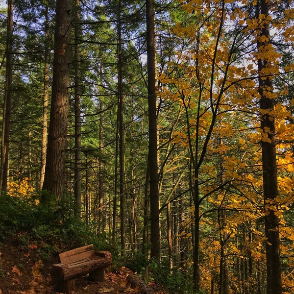 Photos at Squak Mountain State Park - 4 tips