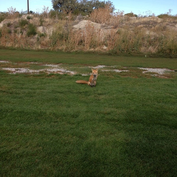 Rose Park Golf Course - Golf Course in Rose Park