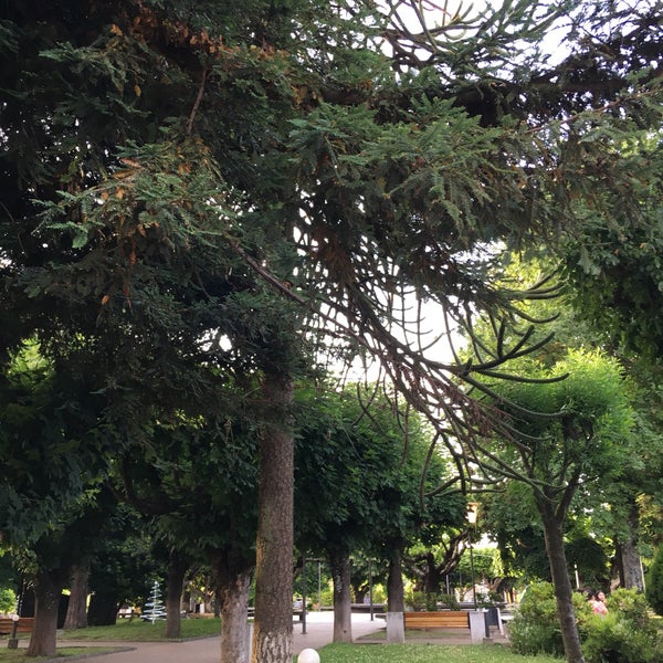 Curacautín - 9 tips from 1137 visitors