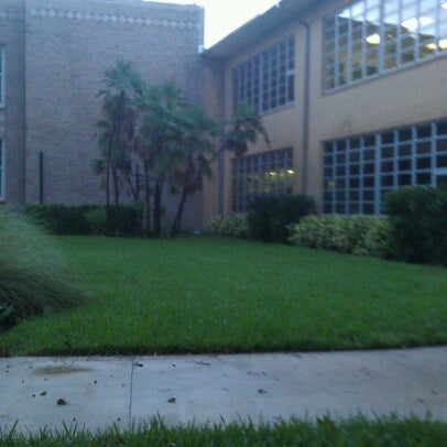 Plant Panthers Tampa