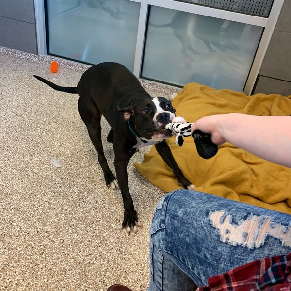 Humane Society of Boulder Valley - Animal Shelter