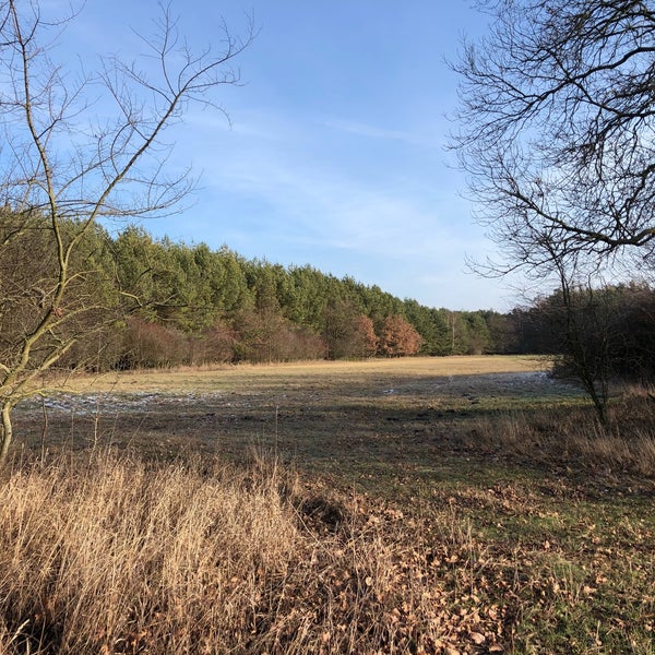 Stendaler Stadtforst "Hölzchen" - Wald in Stendal