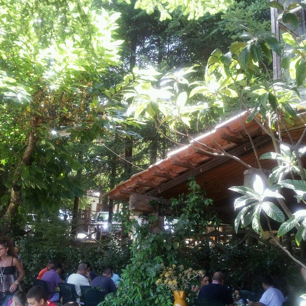 Fagnano Castello - City