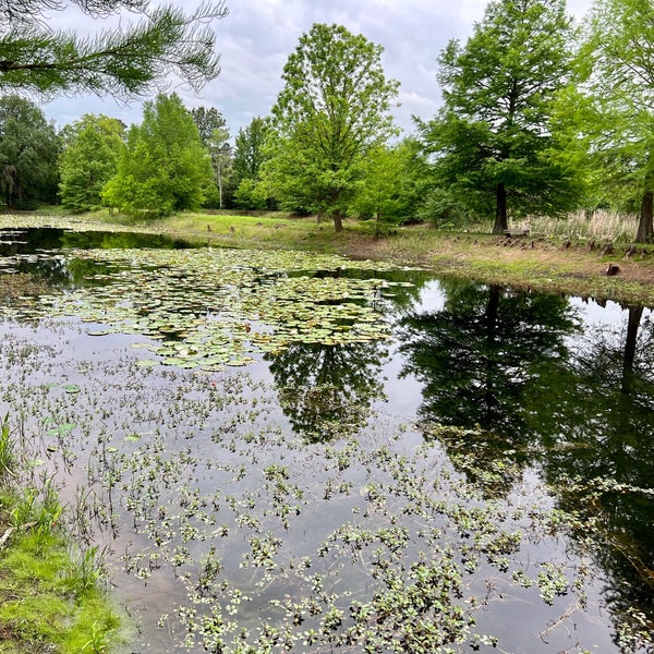 Sheldon Lake State Park - State or Provincial Park in Houston