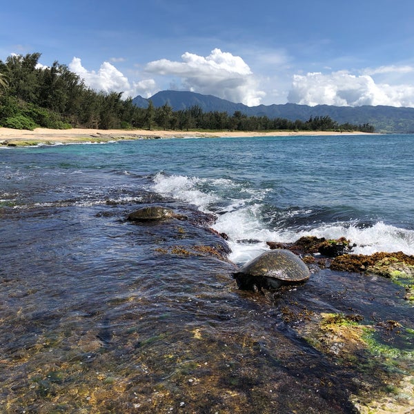 Papailoa Beach - Beach in Haleiwa