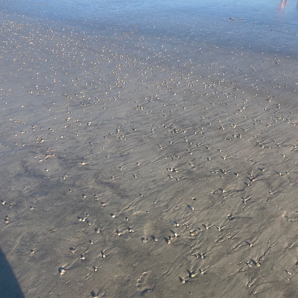 Breakers Beach - Beach in Coronado