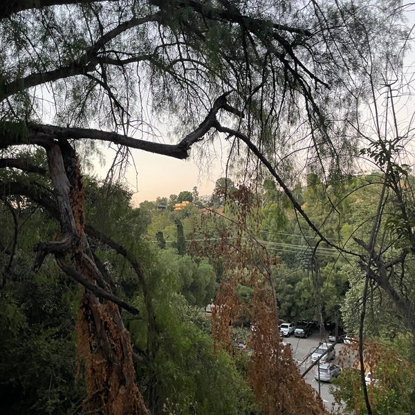 Wilacre Park - Betty B Dearing Trail