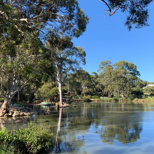 Wittunga Botanic Garden - 3 tips