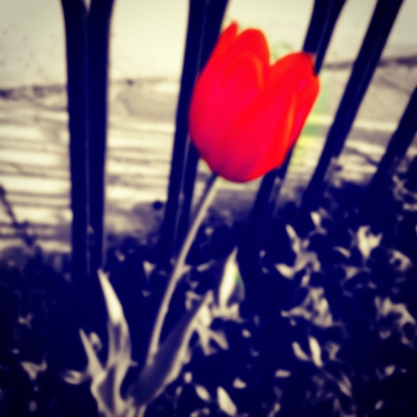 Valley View Pub - American Restaurant