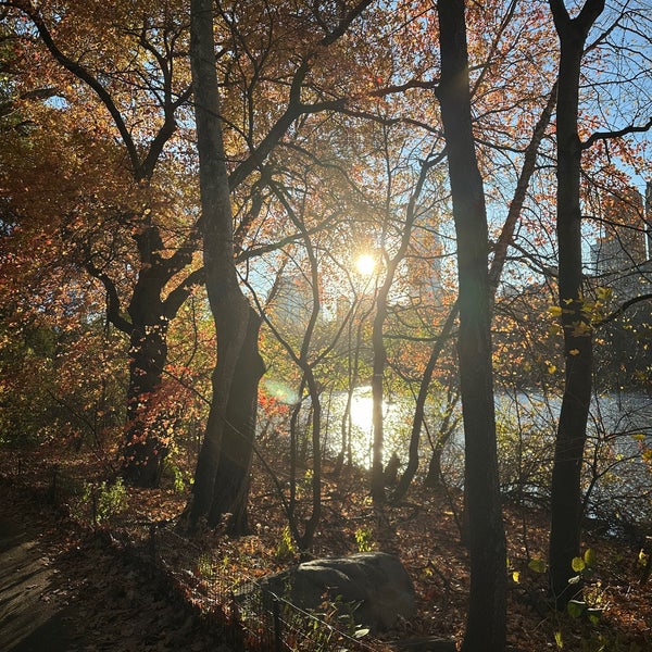 The Ramble - Central Park - New York, NY