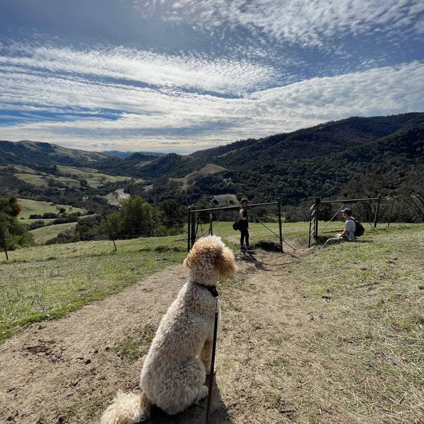 Camp Ohlone Regional Park - Sunol, CA