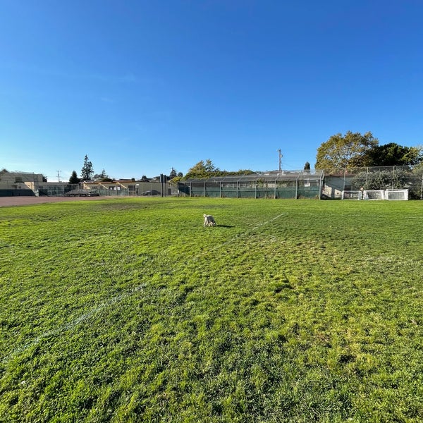 Bushrod Park - Park in Bushrod