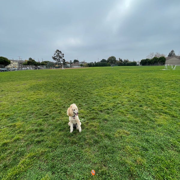 Bushrod Park - Park in Bushrod
