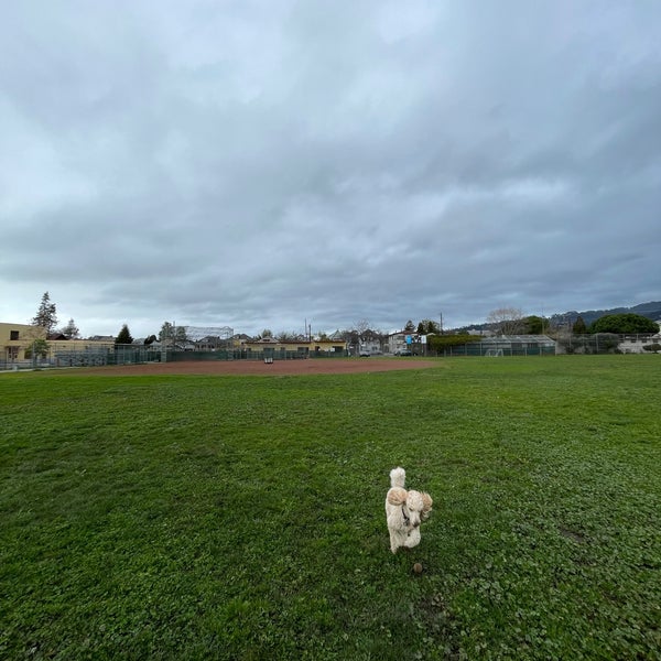 Bushrod Park - Park in Bushrod