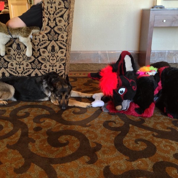 Rocky Mountain Fur Con (Now Closed) - Northeast Park Hill - Denver, CO