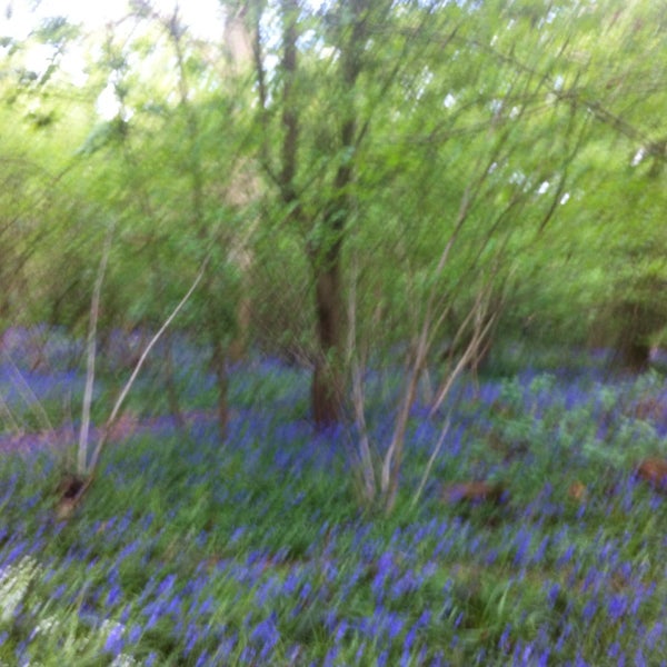 Worcester Woods Country Park - 1 tip