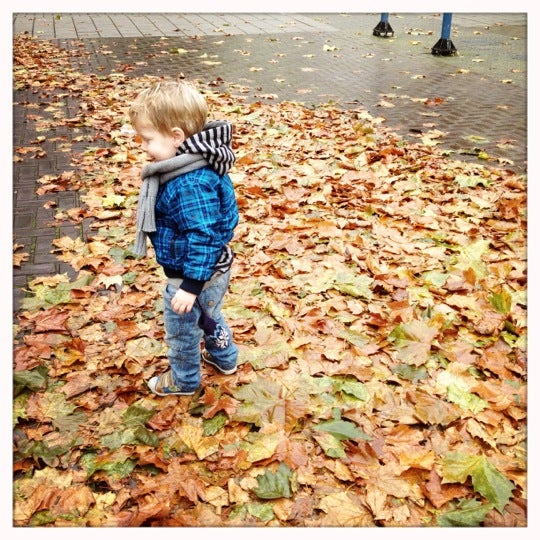 Photos at Winkelcentrum Lageland - Het Lage Land - 3 tips