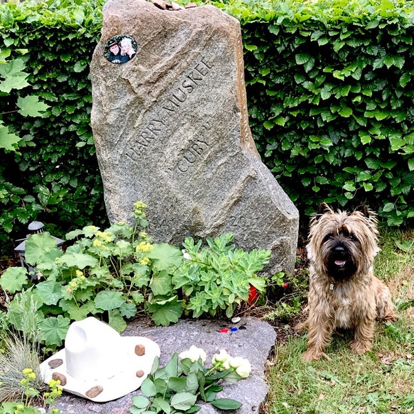 Rolde - Neighborhood