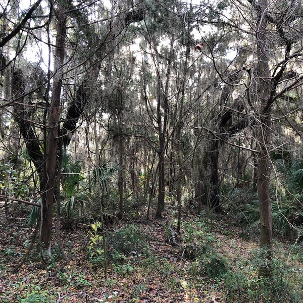 Shell Mound - 58 visitors