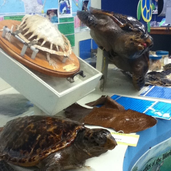 National Marine Life Center - 5 tips from 48 visitors