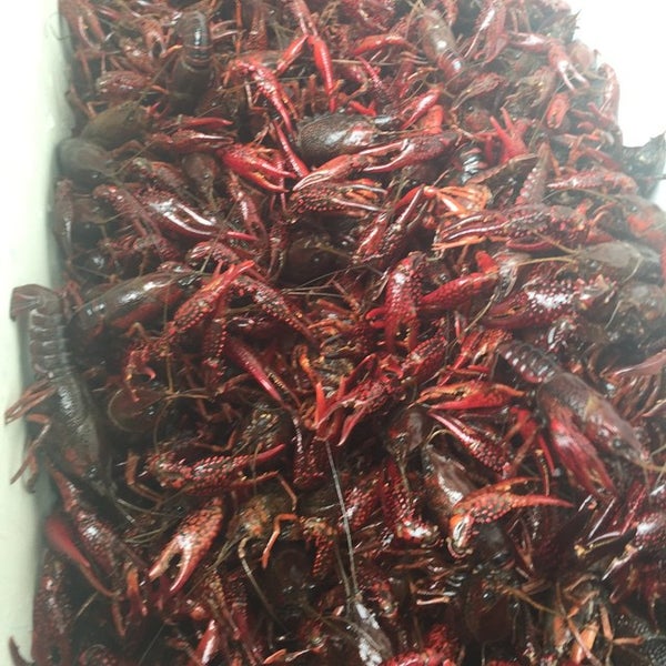 Front Gate Tickets - Office