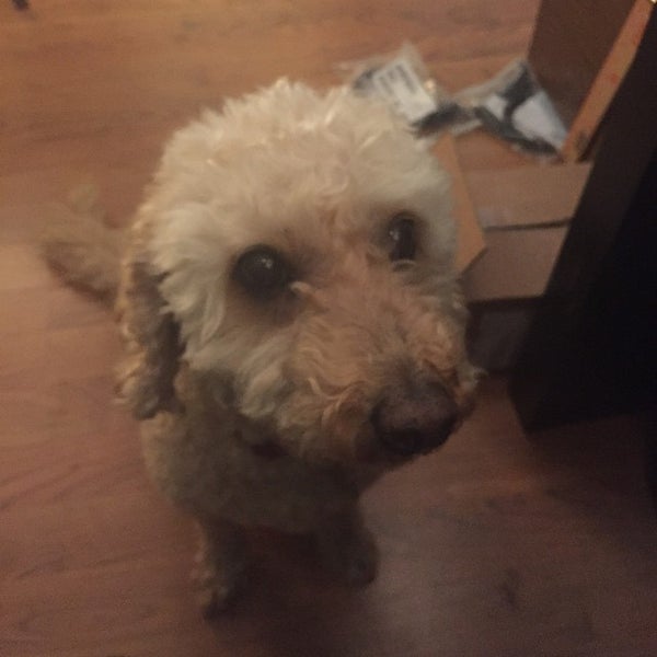 Front Gate Tickets - Office