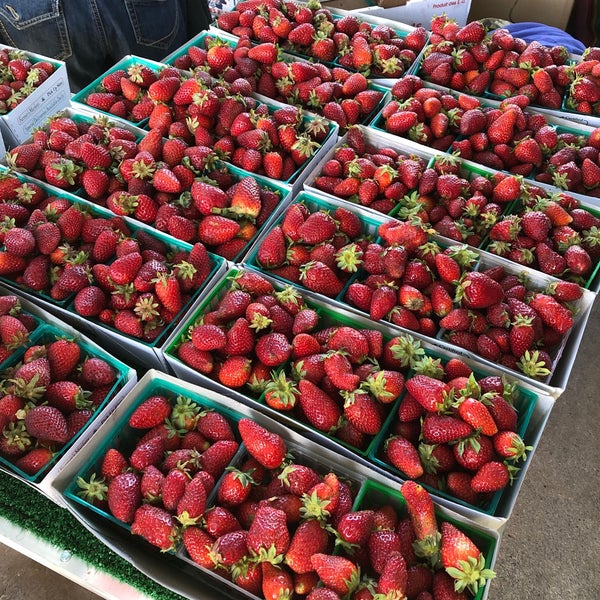 Alemany Farmers Market - Bernal Heights - 60 tips