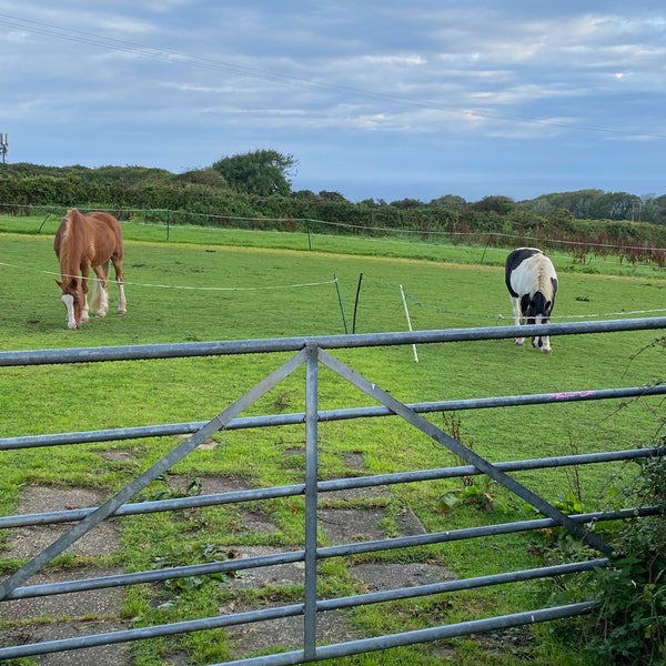 Trenwith Lane - St Ives, Cornwall