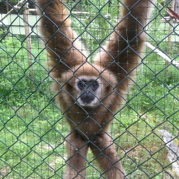 Tangen dyrepark - Zoo