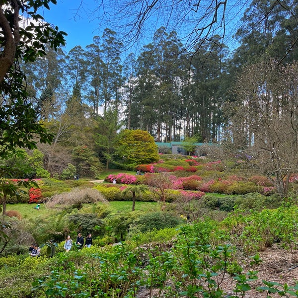 National Rhododendron Gardens - Garden