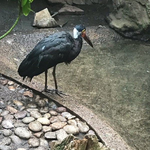 Bird World at Denver Zoo - City Park - 2 tips