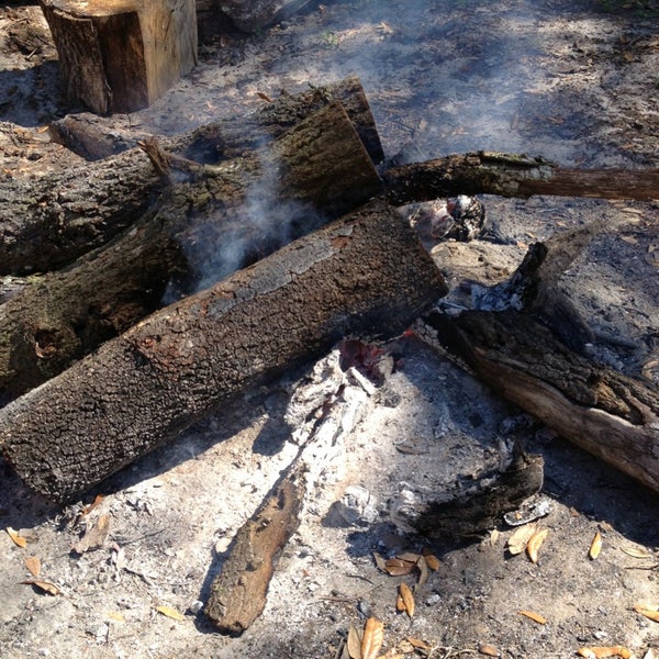 Watermelon Pond Plantation Florida Hunting - Newberry, FL