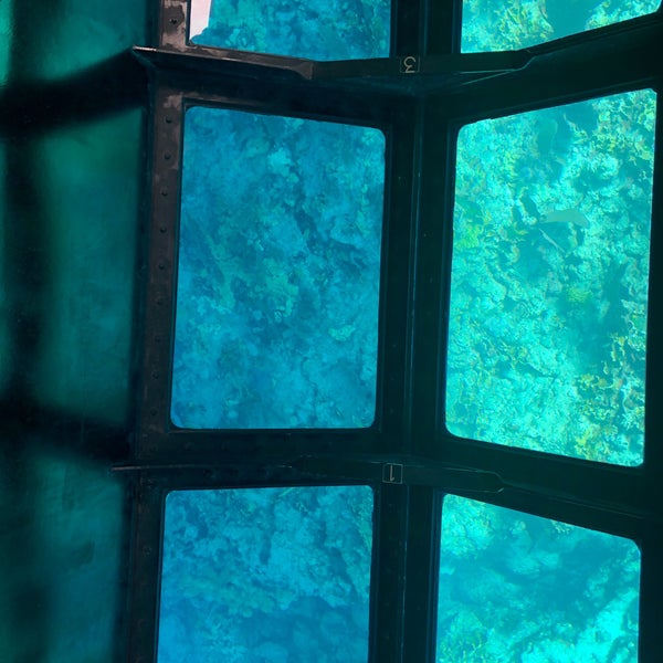 Molasses Reef - Harbor or Marina