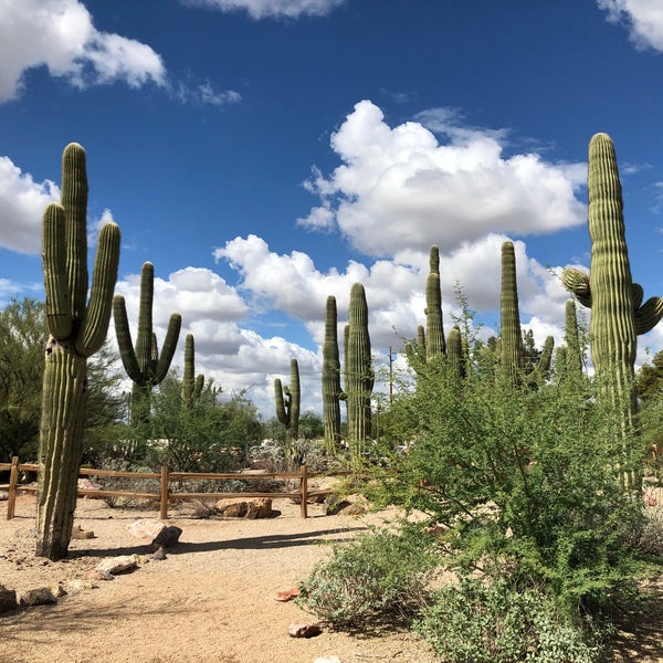 Photos at Gilbert Riparian Preserve at Water Ranch - Gilbert, AZ