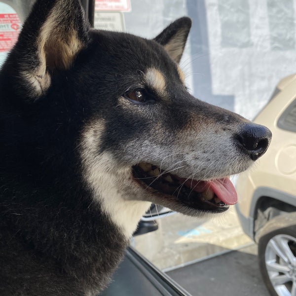 Ralphs - 25 tips from 2821 visitors