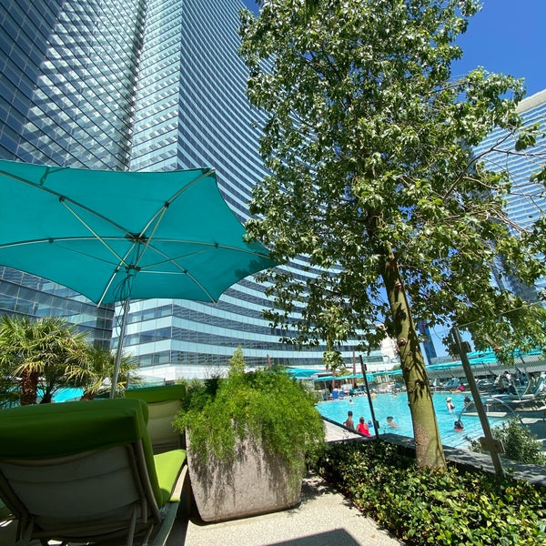 Vdara Pool - Hotel Pool in Las Vegas