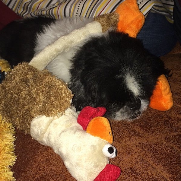 Maynard Elks Lodge - Bar