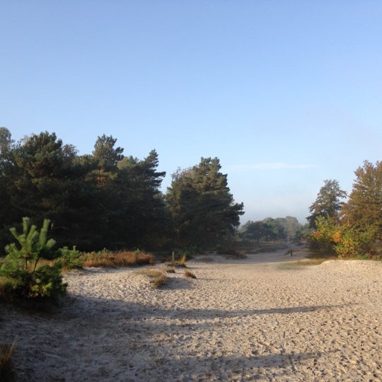 Brunssumerheide - 10 tips