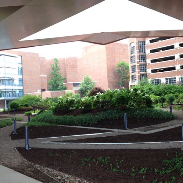 Millennium Science Complex - College Science Building