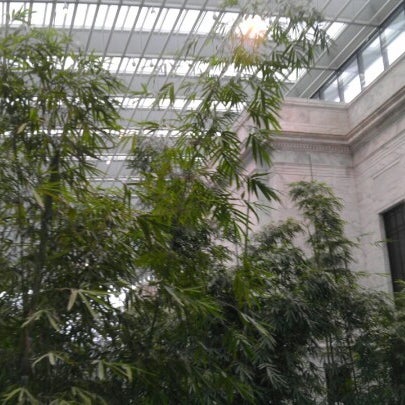Photos at The Ames Family Atrium - University Circle - Cleveland, OH