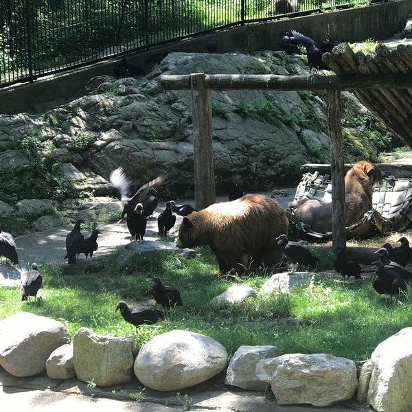 Photos at Bear Mountain Zoo and Trailsides Museum - 18 tips from 1038 ...