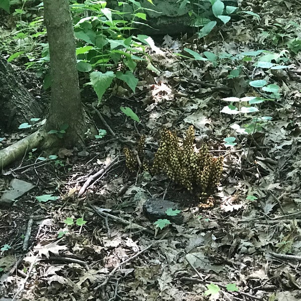 Photos at Bear Mountain Zoo and Trailsides Museum - 18 tips from 1038 ...