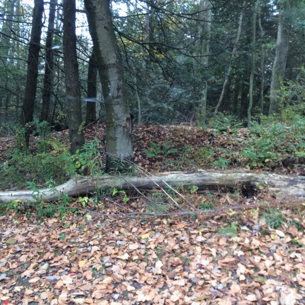 Spirit of Tuscarora Trail Head