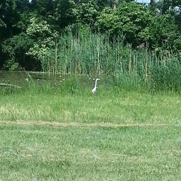 Pointe Mouillee State Game Area - 121 visitors