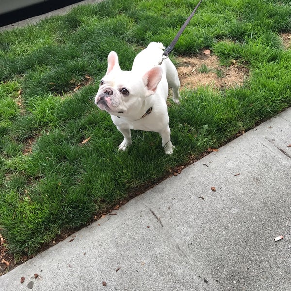 Edwin T Pratt Park - Playground