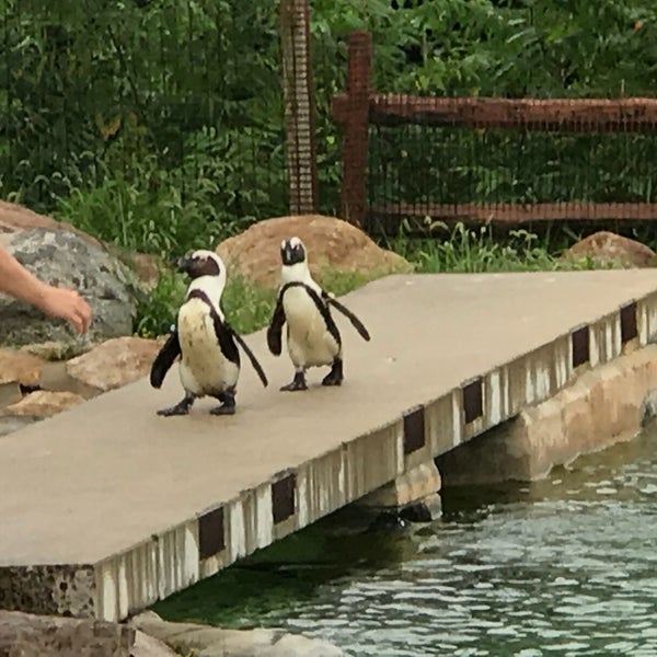 Lehigh Valley Zoo Address