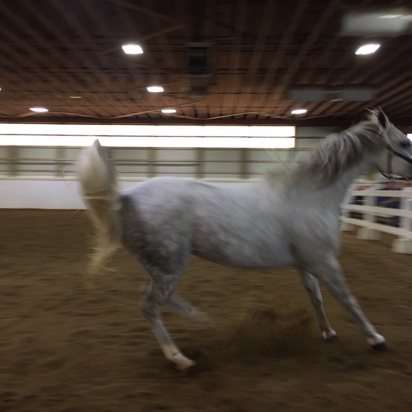 MSU Horse Barns - Lansing, MI